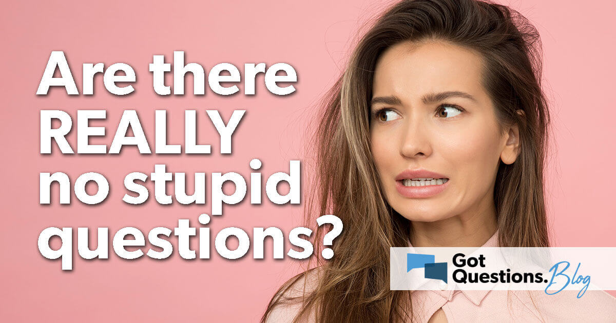 There are no stupid questions. Really?